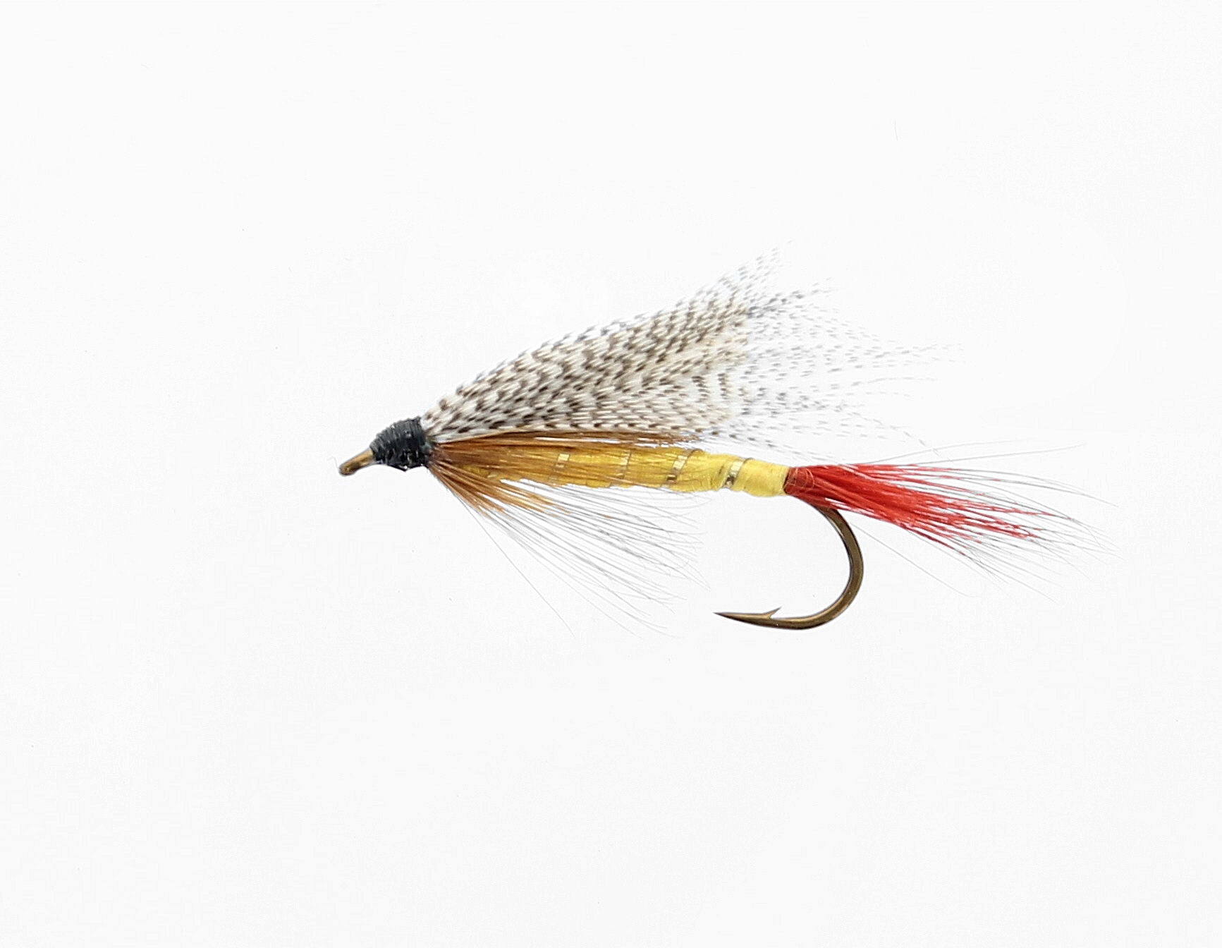 PROFESSOR Streamer – etic.ca